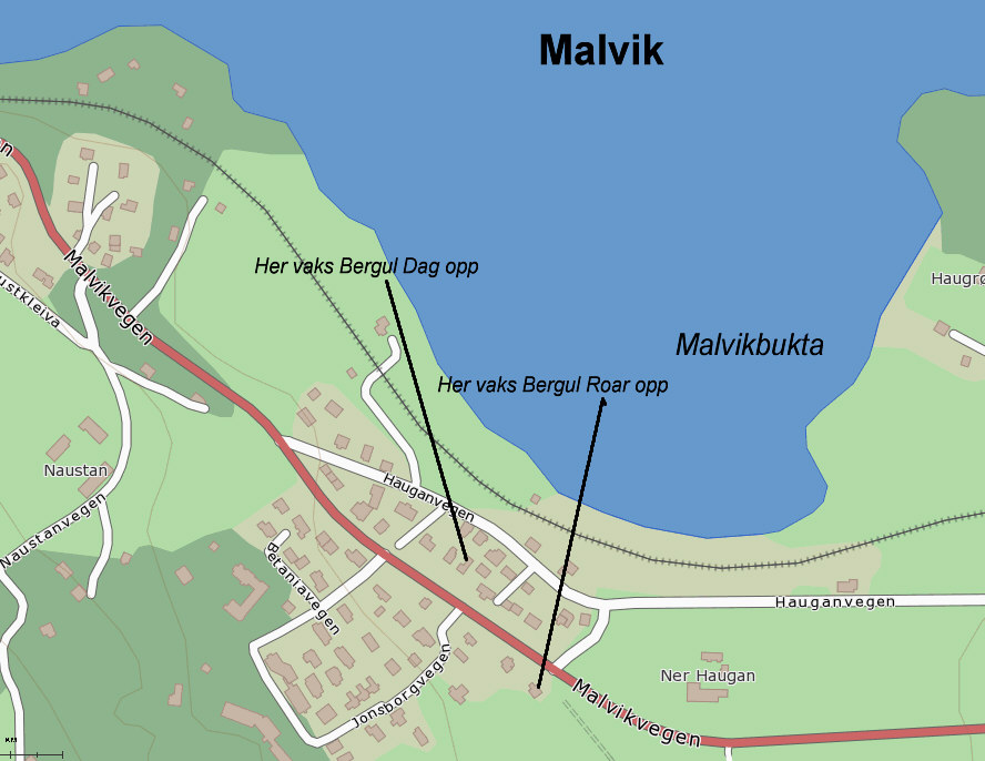 Malvik
